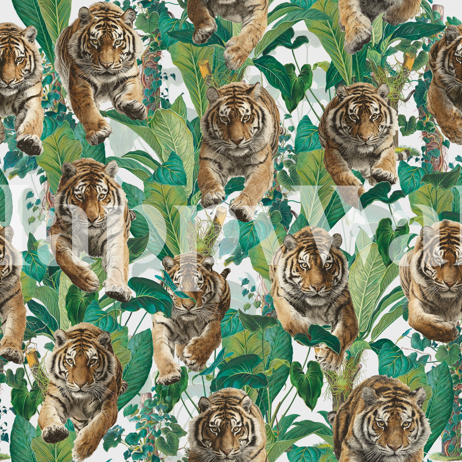 Tropical Tiger Adventure Wallpaper | happywall.com