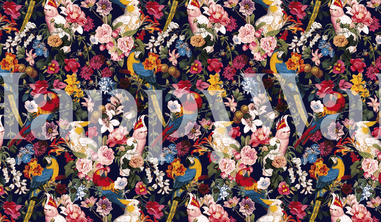 Oiseaux tropicaux de la jungle | happywall.com