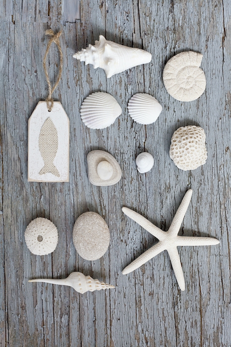 Beach Collection Collage wallpaper | Happywall