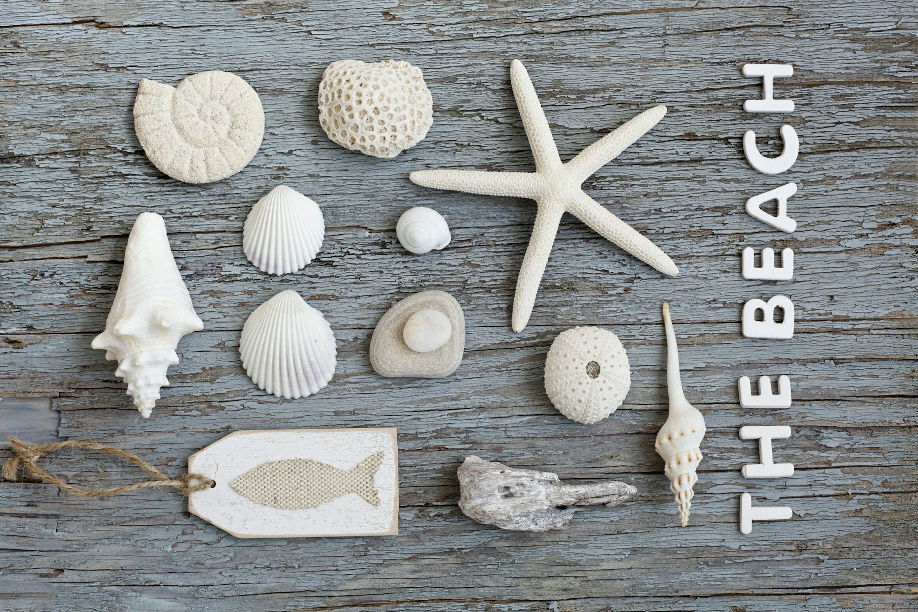 The Beach Collage Wallpaper - Bring the Ocean to Your Home | Happywall