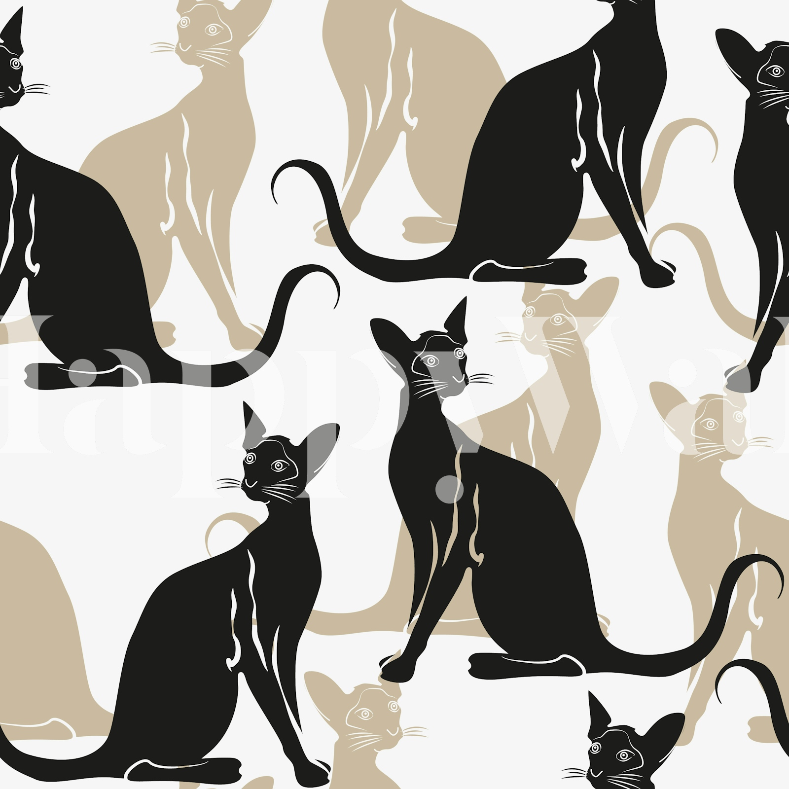 Chic Sphynx Cat Design - Happywall