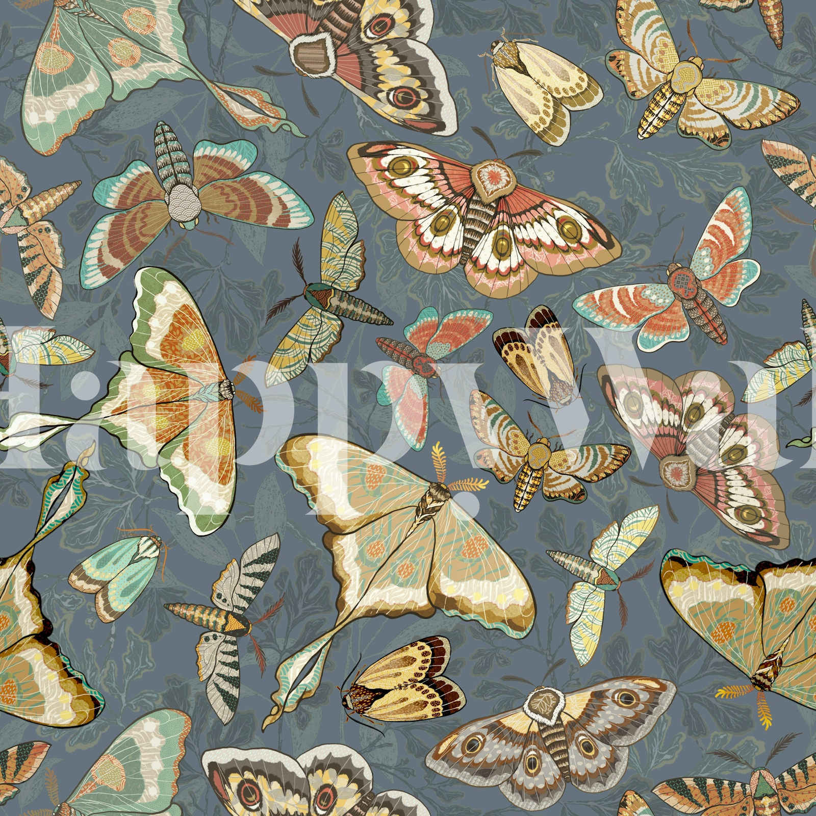 Moths and Butterflies Slate Blue Smaller papiers peint | Happywall