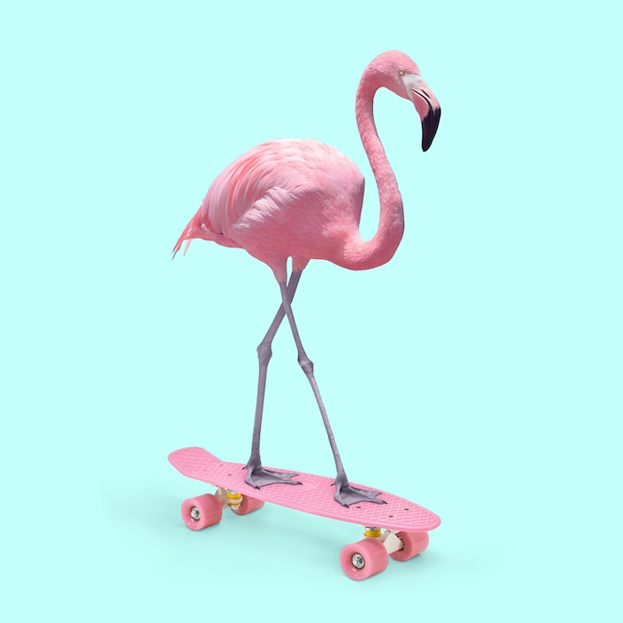 Cool Pink Flamingo Wallpaper