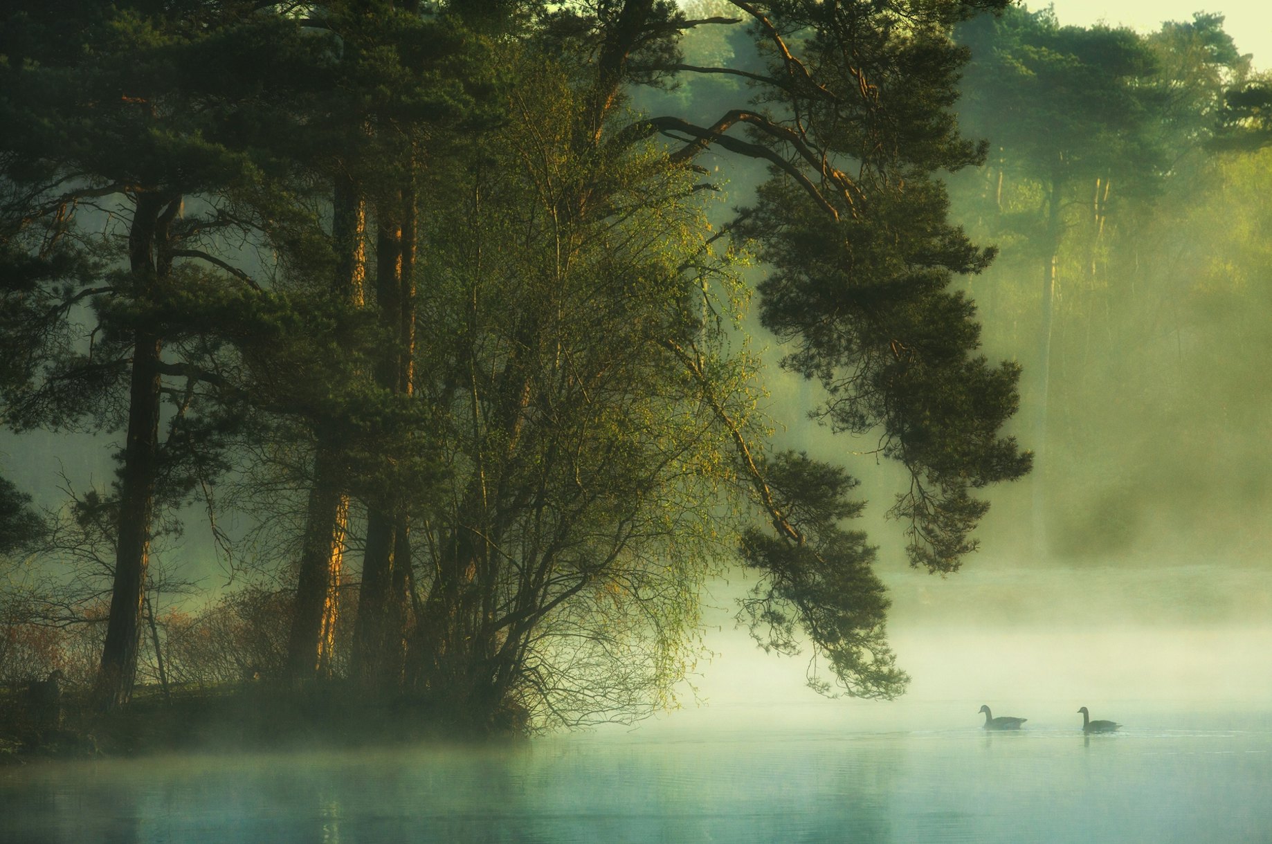 Dutch fen wallpaper - Happywall