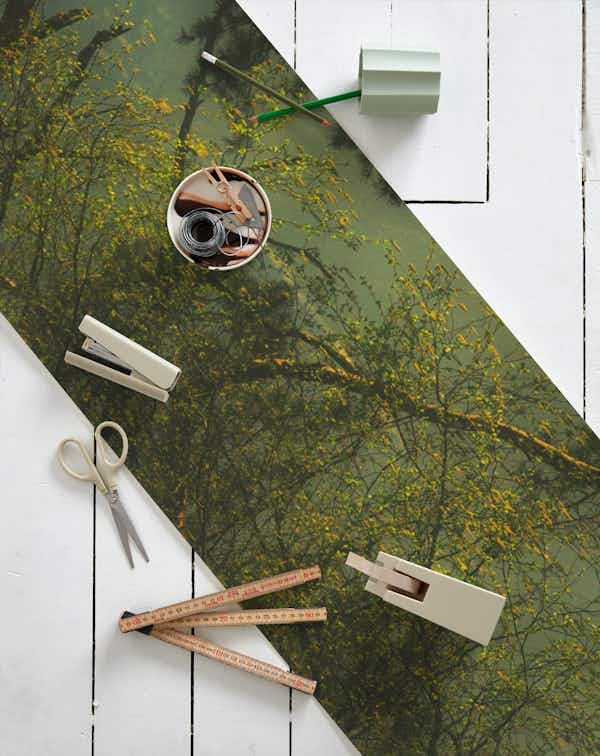 Dutch fen wallpaper - Happywall