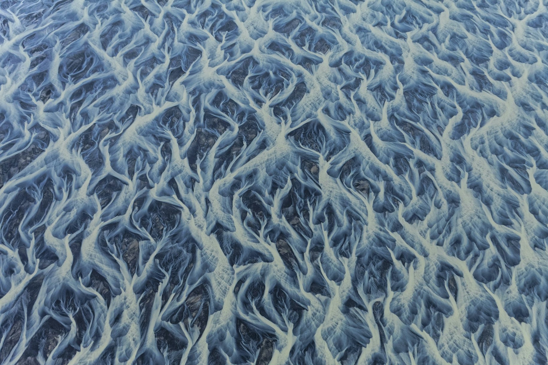 Buy Veins of the Earth Wallpaper Online | Happywall