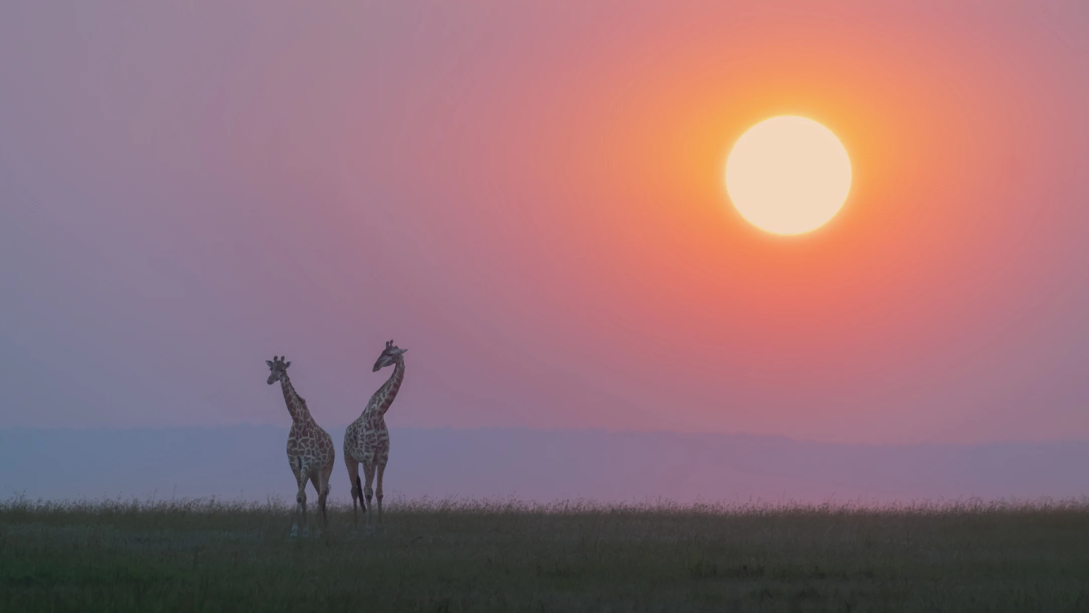 Sunset Love Wallpaper - Romantic Sunset Wallpapers | Happywall