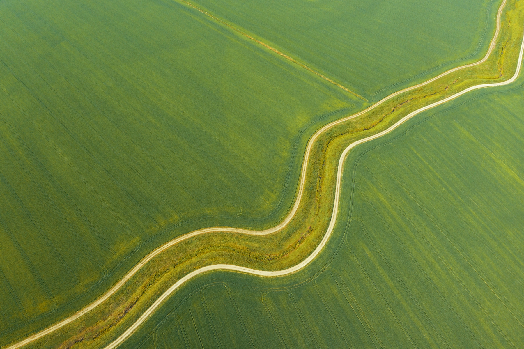 Prekmurje Wallpaper | Vintage Style Wall Murals | Happywall