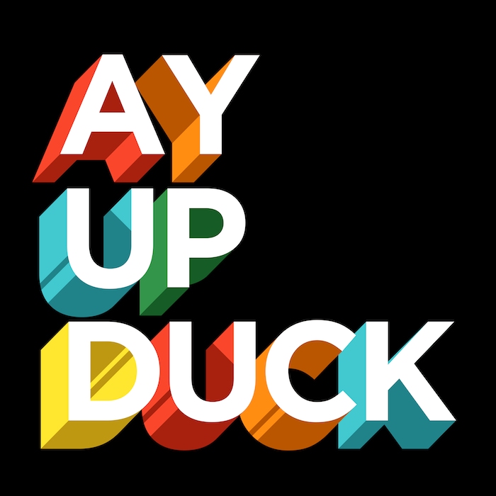 Ay Up Duck wallpaper wallpaper | Happywall