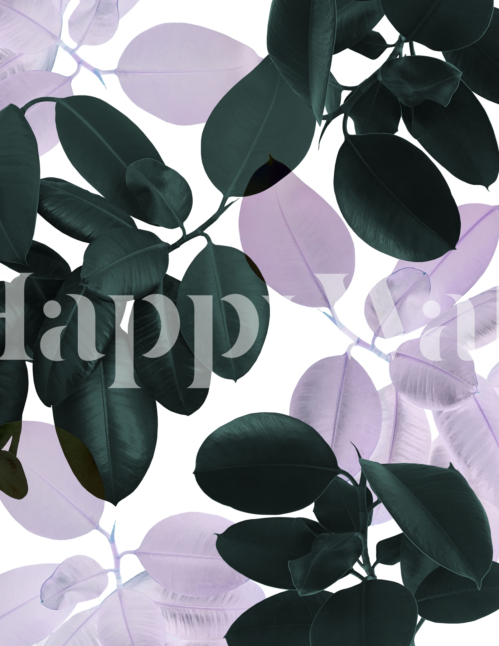 Ficus Leaves Glam 1 Wallpaper | Happywall