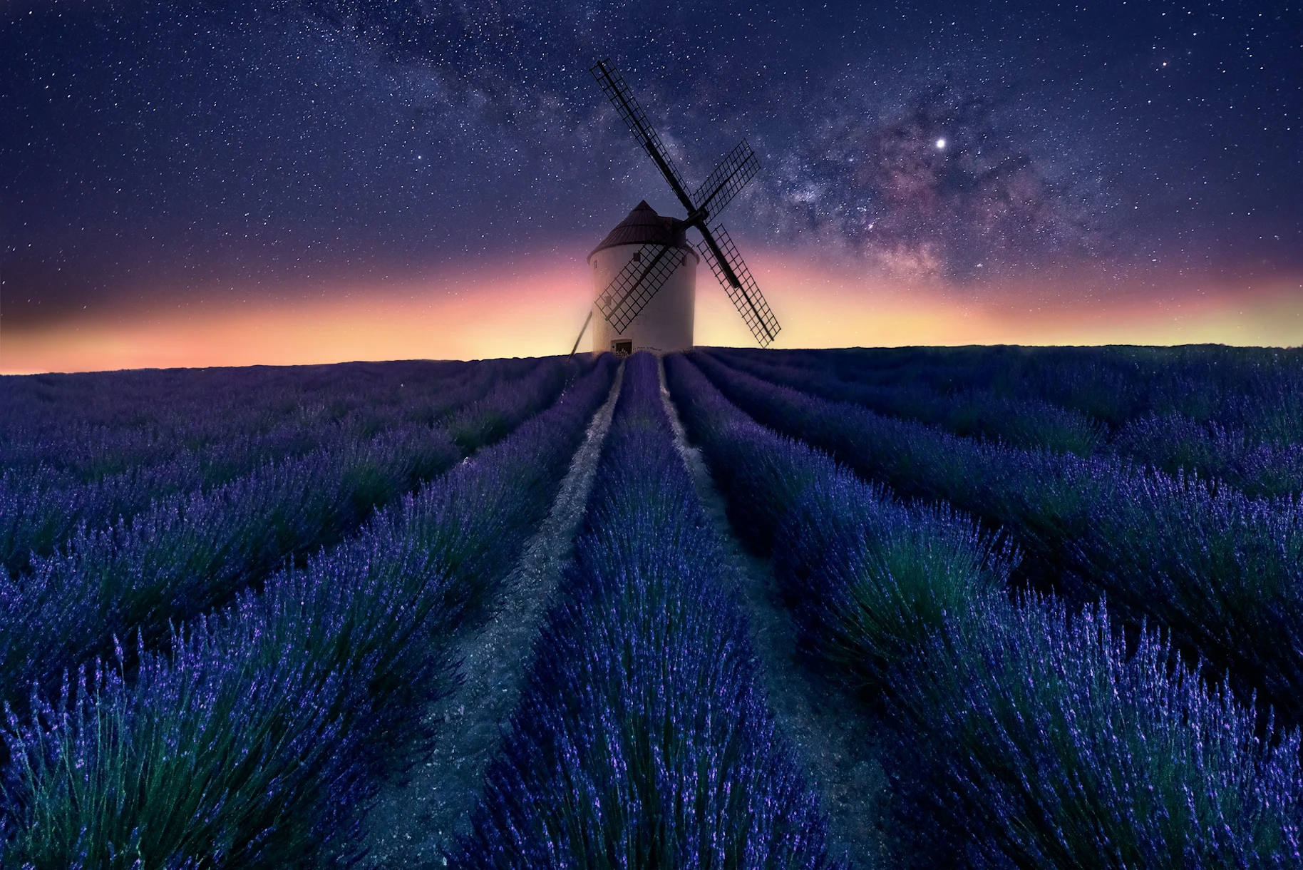 Lavender night wallpaper - Happywall