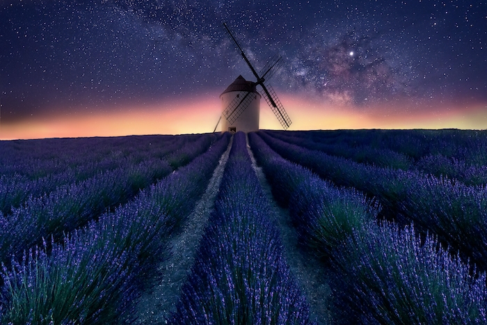 Lavender Night Floral Landscape Wallpaper