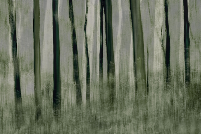 Trees in Motion Wallpaper - Happywall