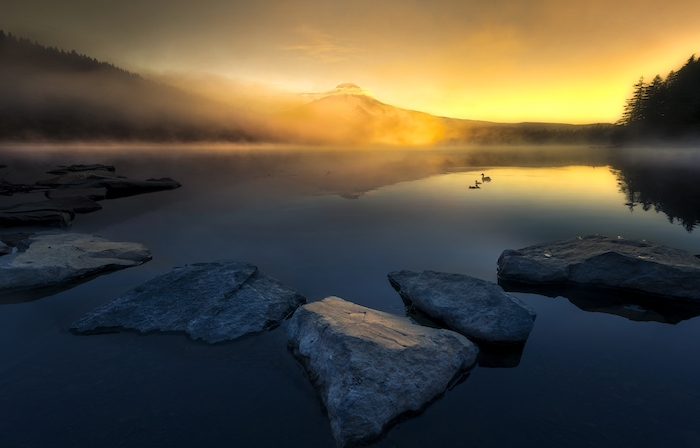 Golden Hour Natural Landscape Wallpaper