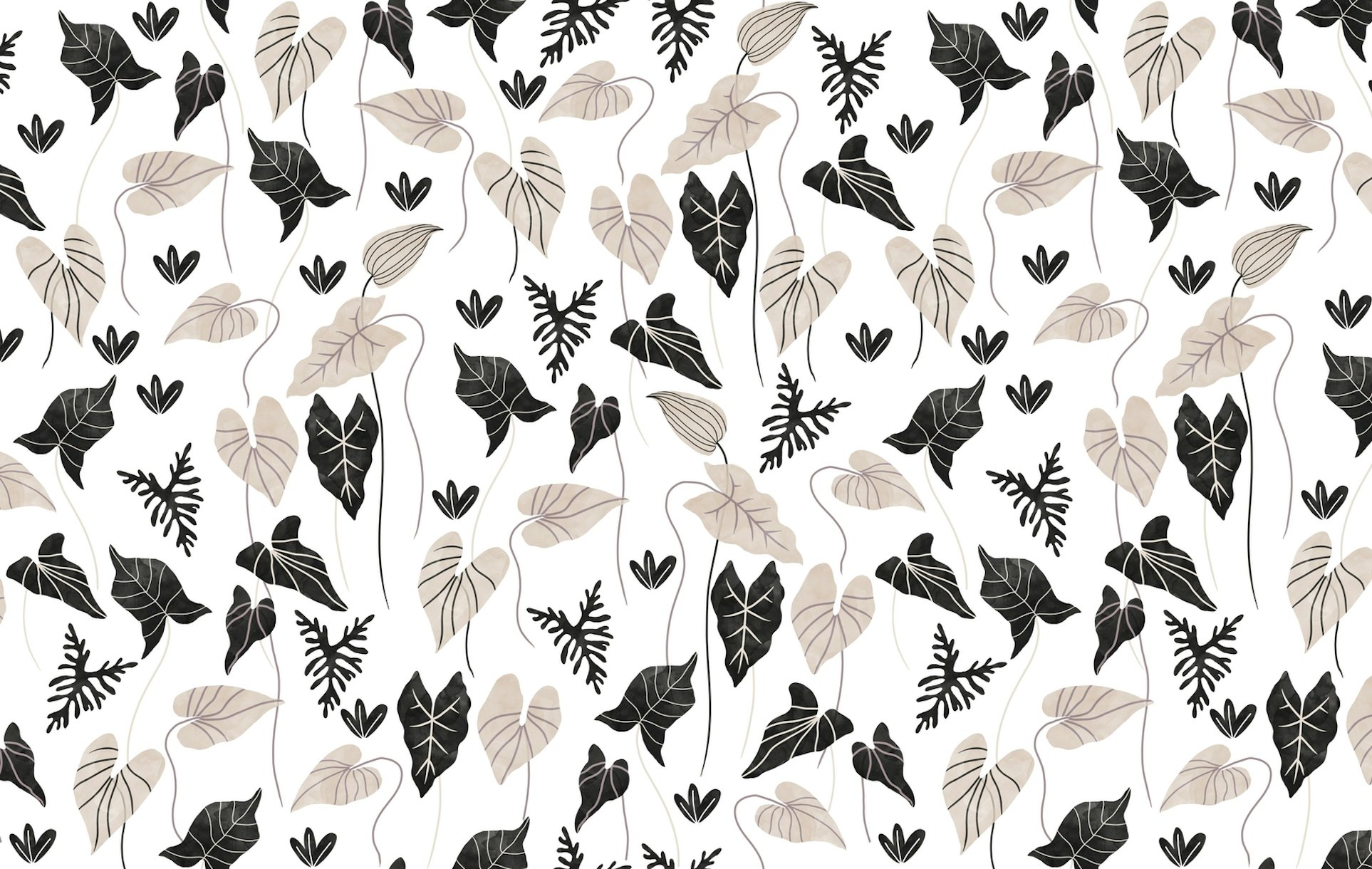 Simple modern nature BW wallpaper - Happywall