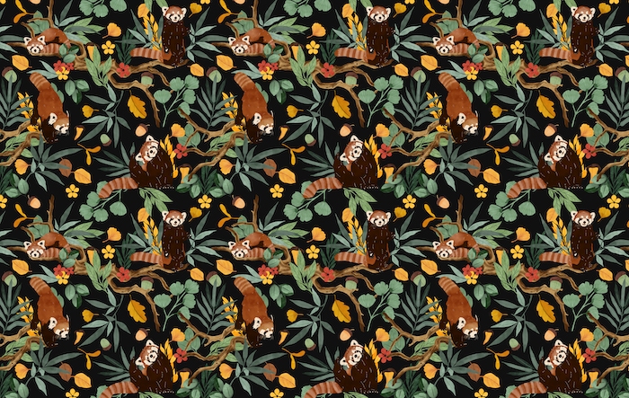 Red Pandas in Dark Wild Nature Wallpaper - Happywall.com