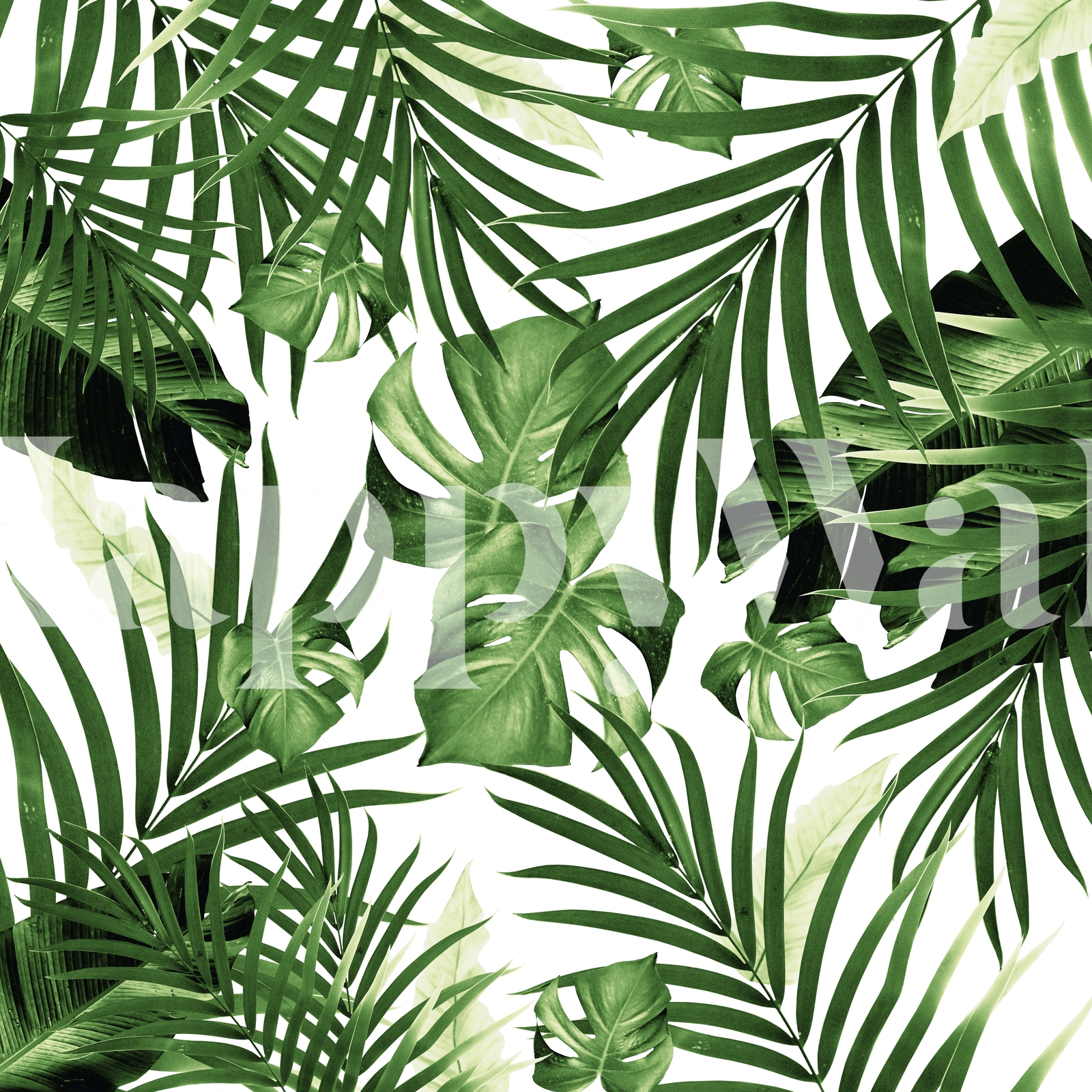 Tropical Jungle Leaves 12a Tapet | Happywall