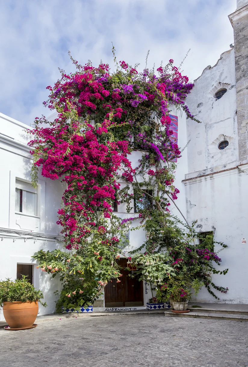 Summer in Andalusia Wallpaper | Happywall