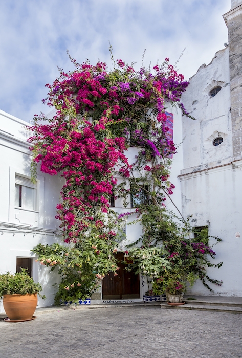 Summer in Andalusia Wallpaper | Happywall