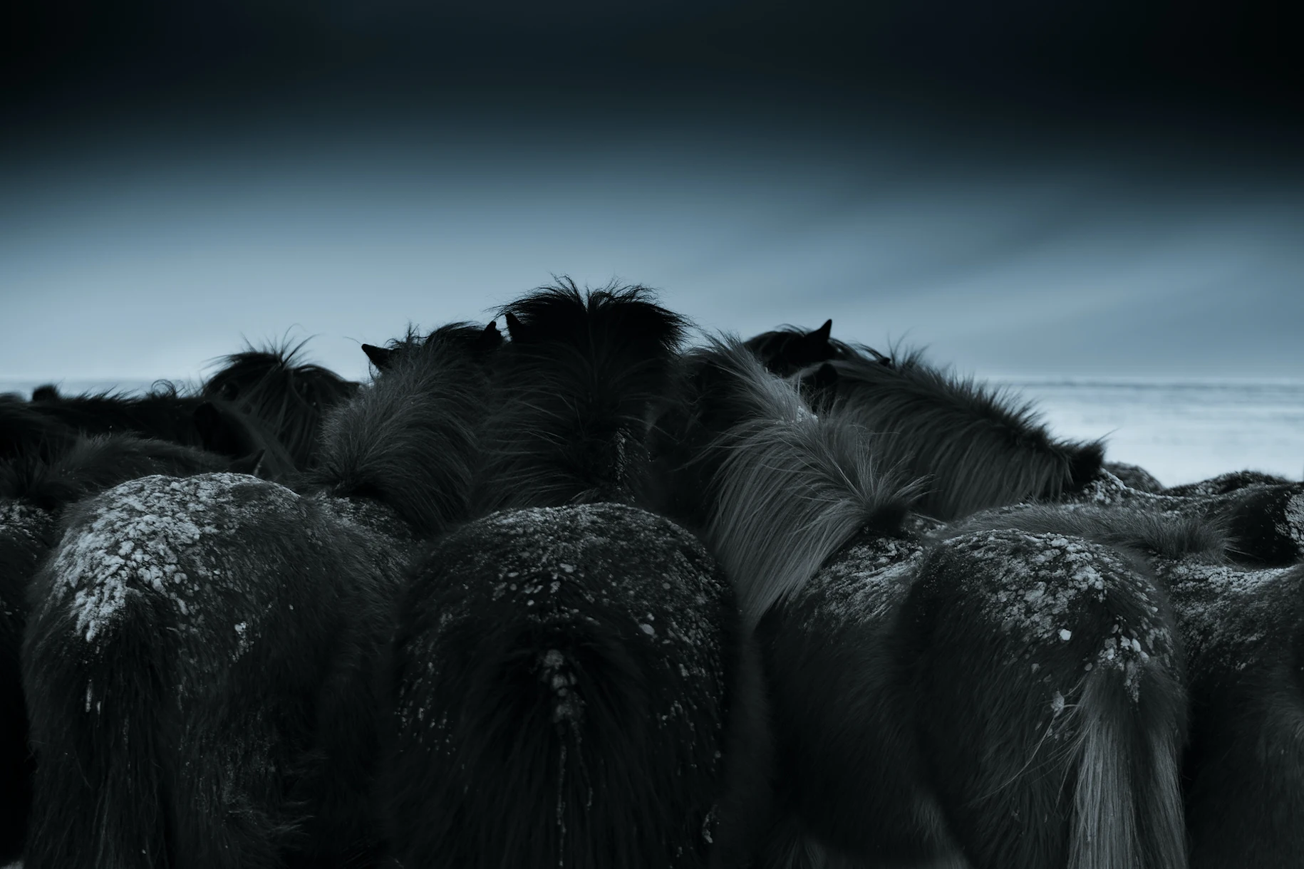 Cold weather wallpaper - Happywall