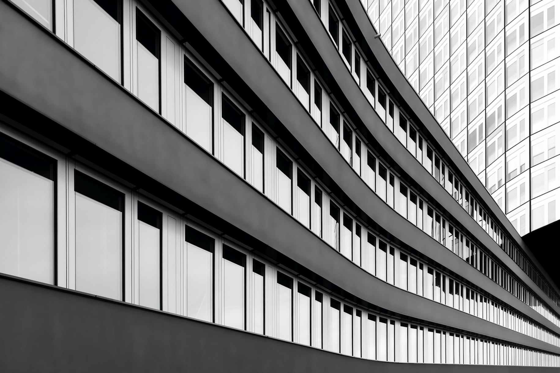 Workplaces Wallpaper - Create a Productive Office Space | Happywall