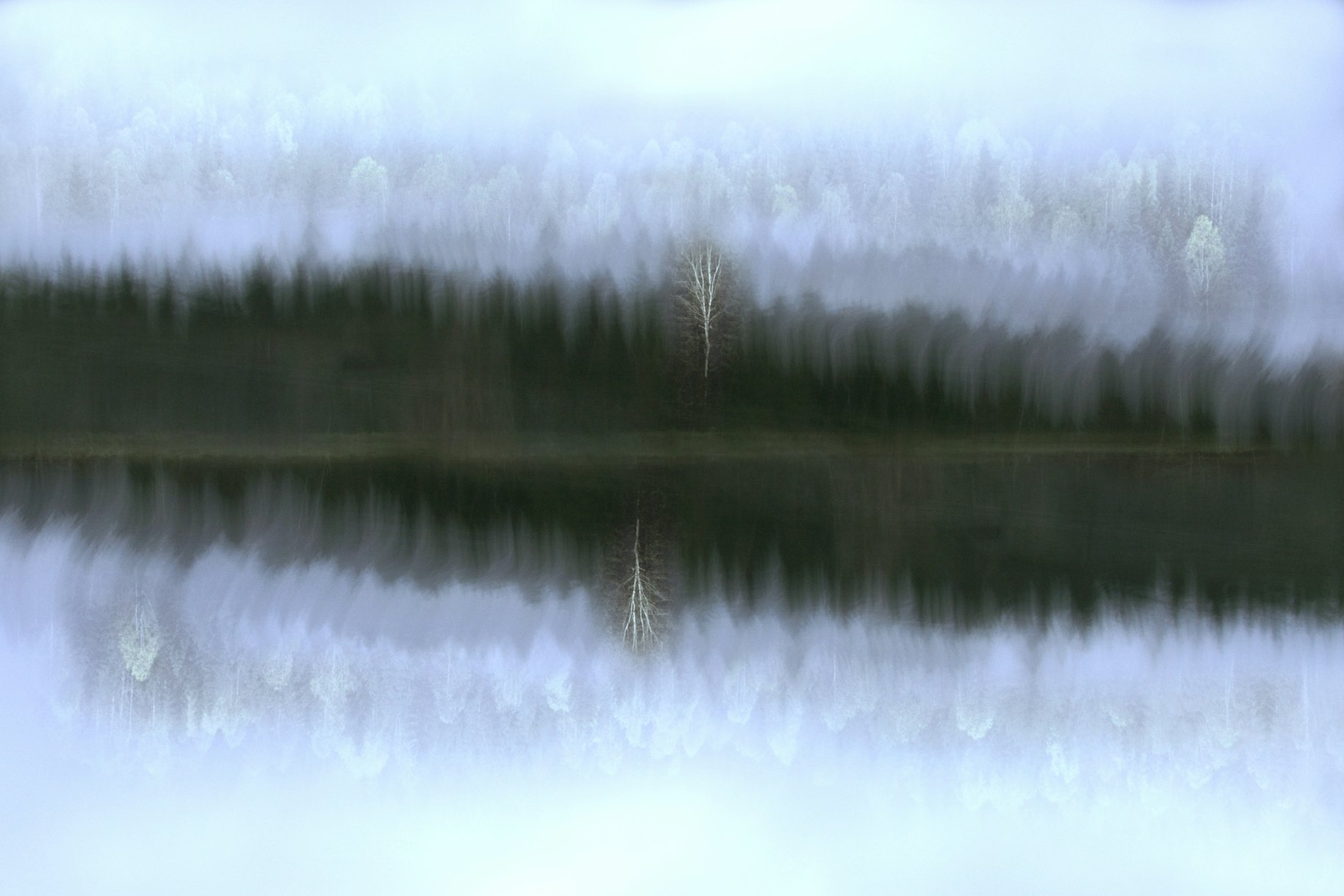 Moody Autumn Wallpaper - Buy Now at Happywall