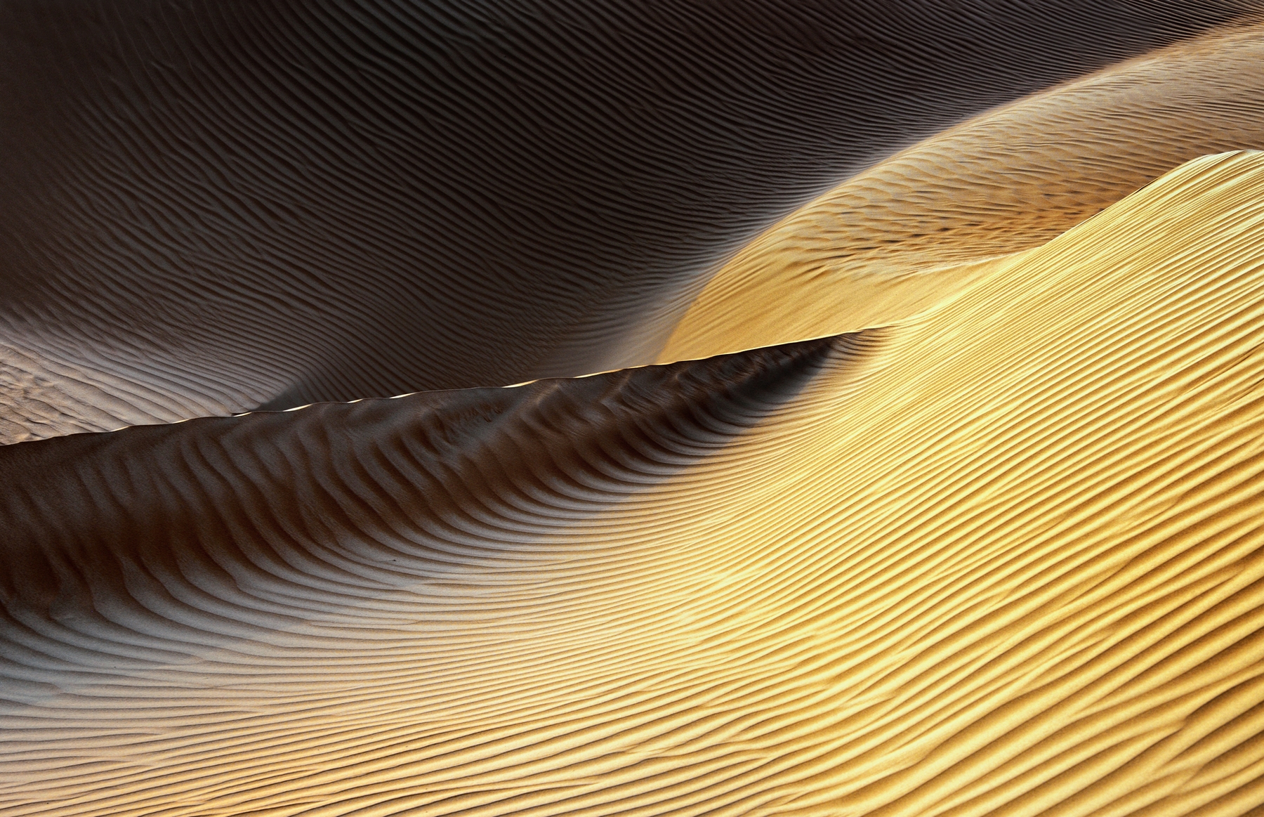 Shapes of the Wind II Wallpaper - Happywall