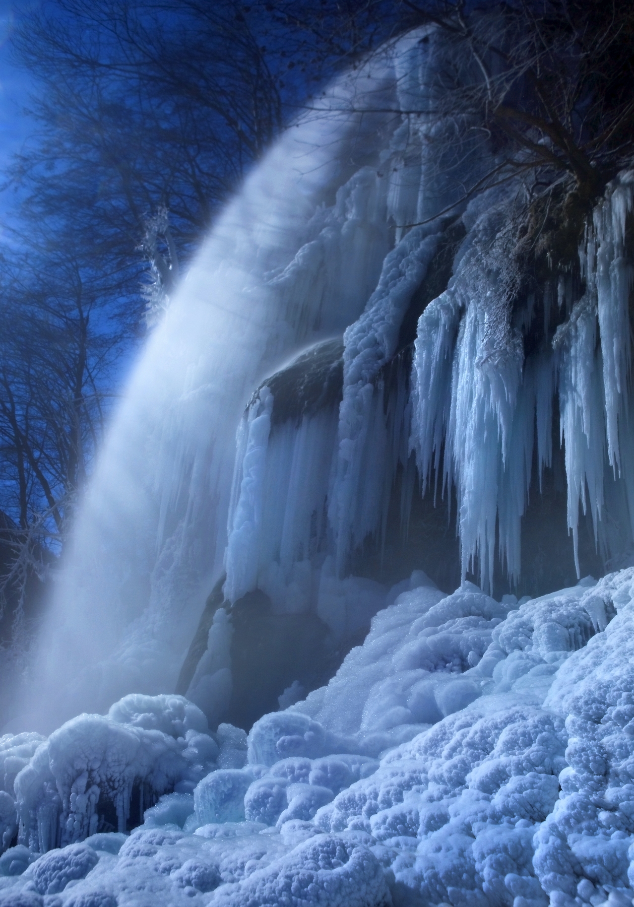 Frozen in the Moonlight Wallpaper - Buy Now on Happywall