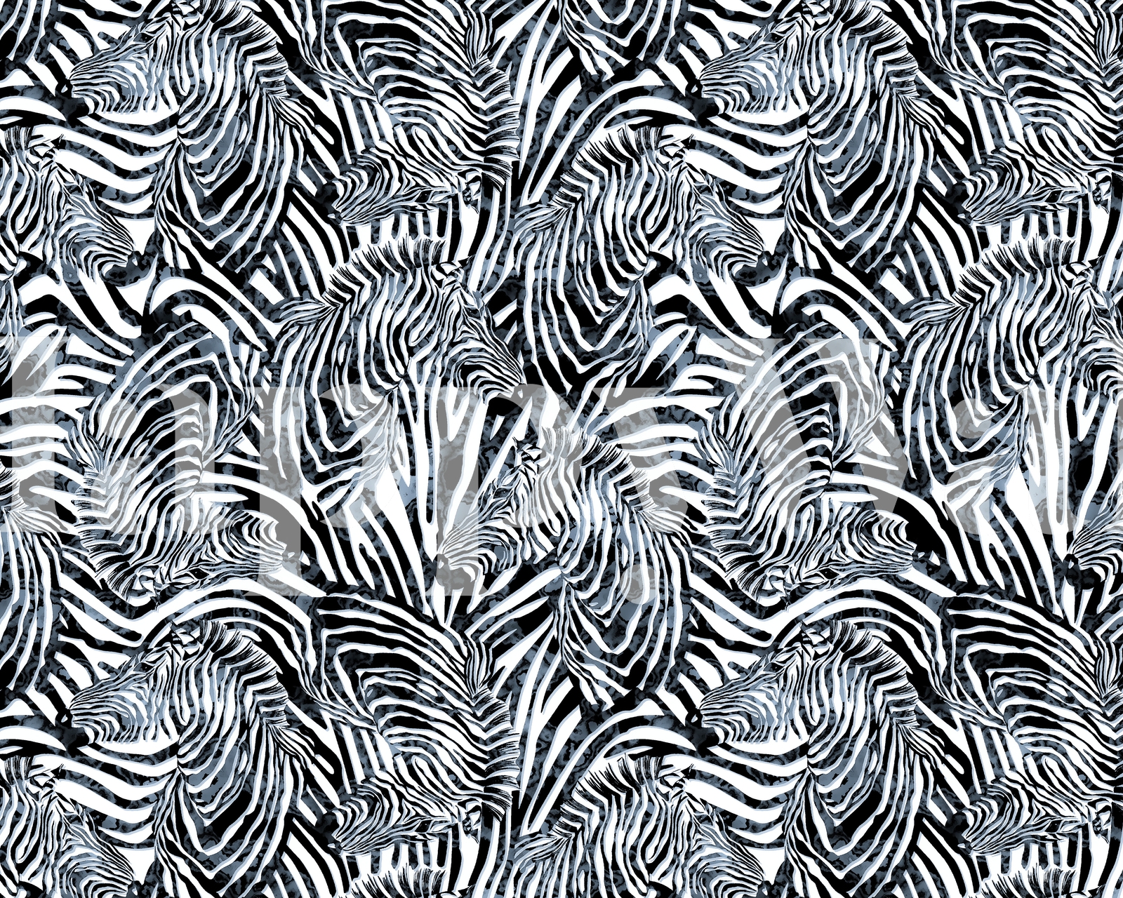Buy Zebra BW Wallpaper Online - Happywall