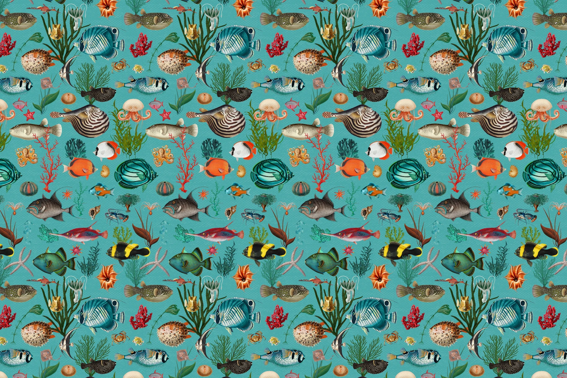 Oceania in Turquoise Blue Wallpaper | Happywall