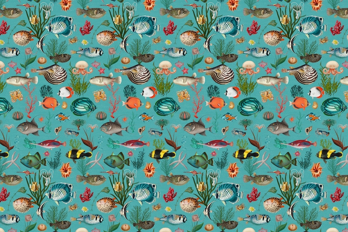 Colorful Ocean Life Wallpaper in Turquoise