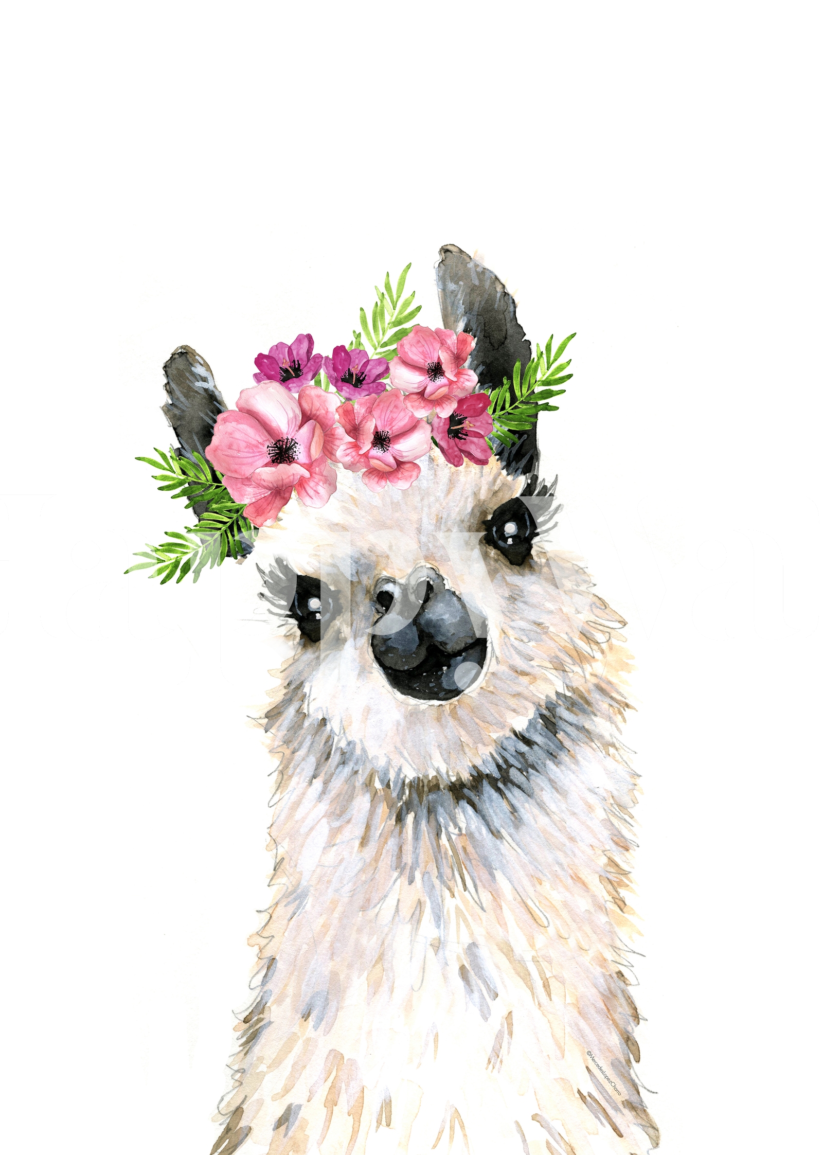 Llama Floral Wallpaper for Kids Room