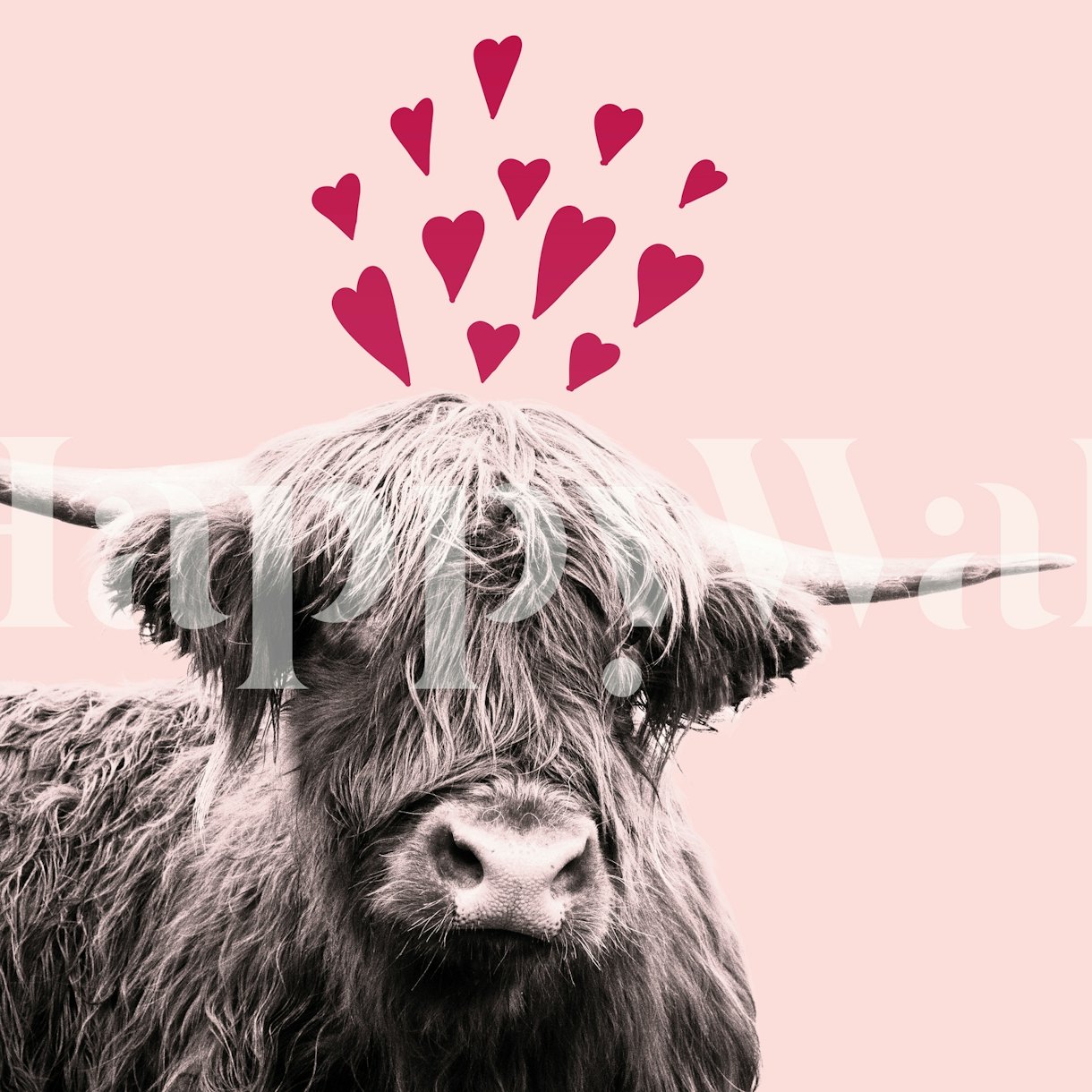 Valentine's Day Cow Wallpaper | Love Symbol Highland Wall Mural | Happywall