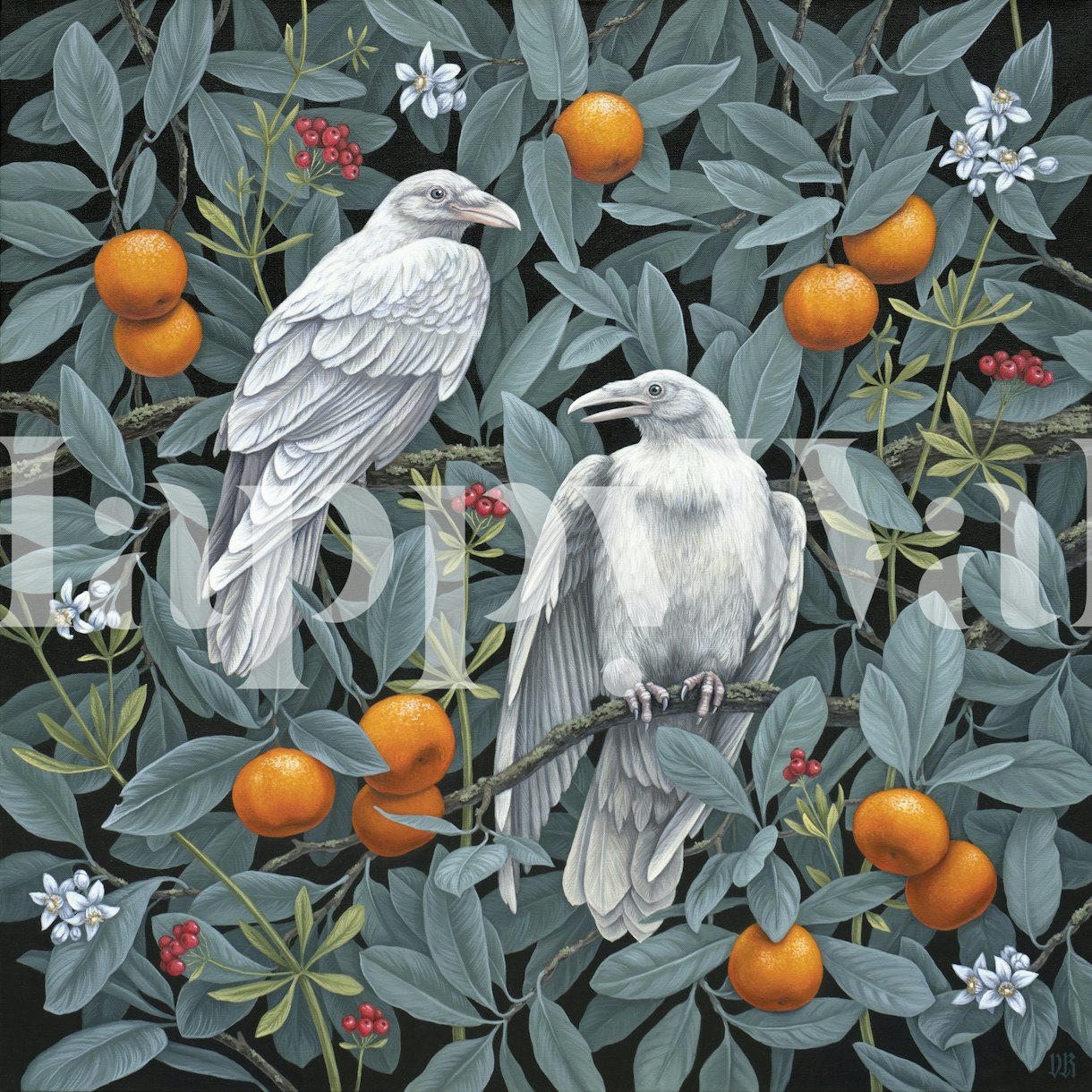 Secret Grove Wallpaper | Buy Online at Happywall