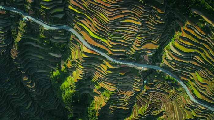 The Way of Terraced Fields Wallpaper - Shop Now at Happywall