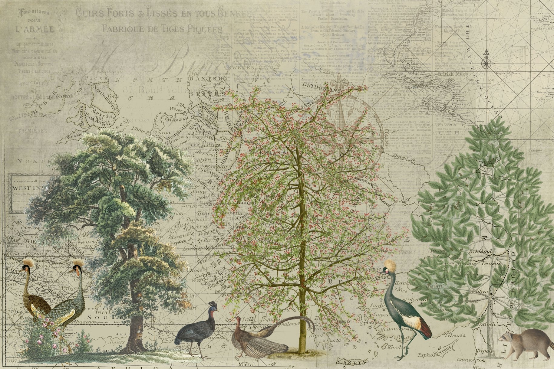 Nordic Birds Wallpaper - Perfect for a Nordic-themed Home | Happywall