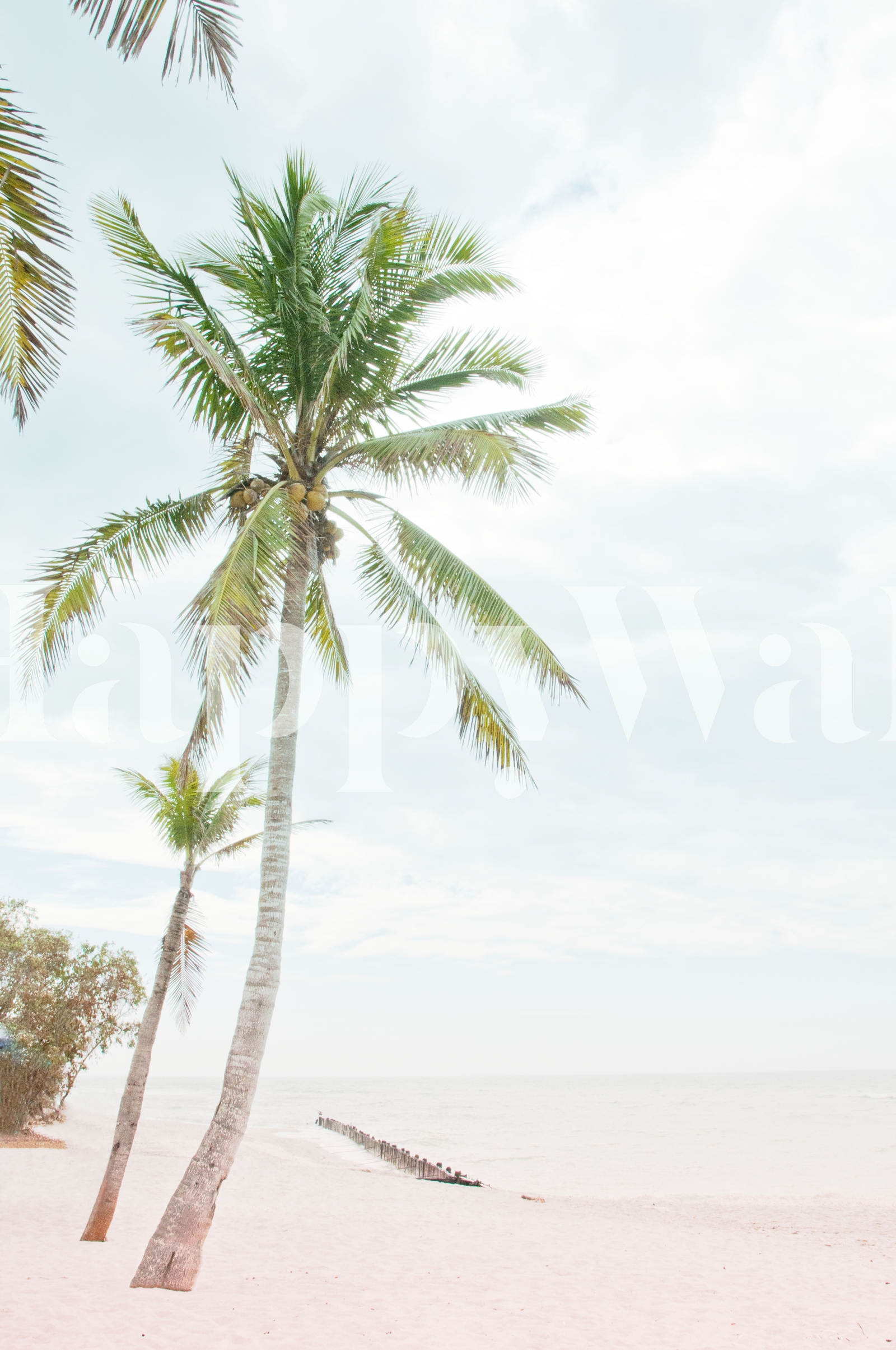 Tropical Palm Trees Beach Wallpaper