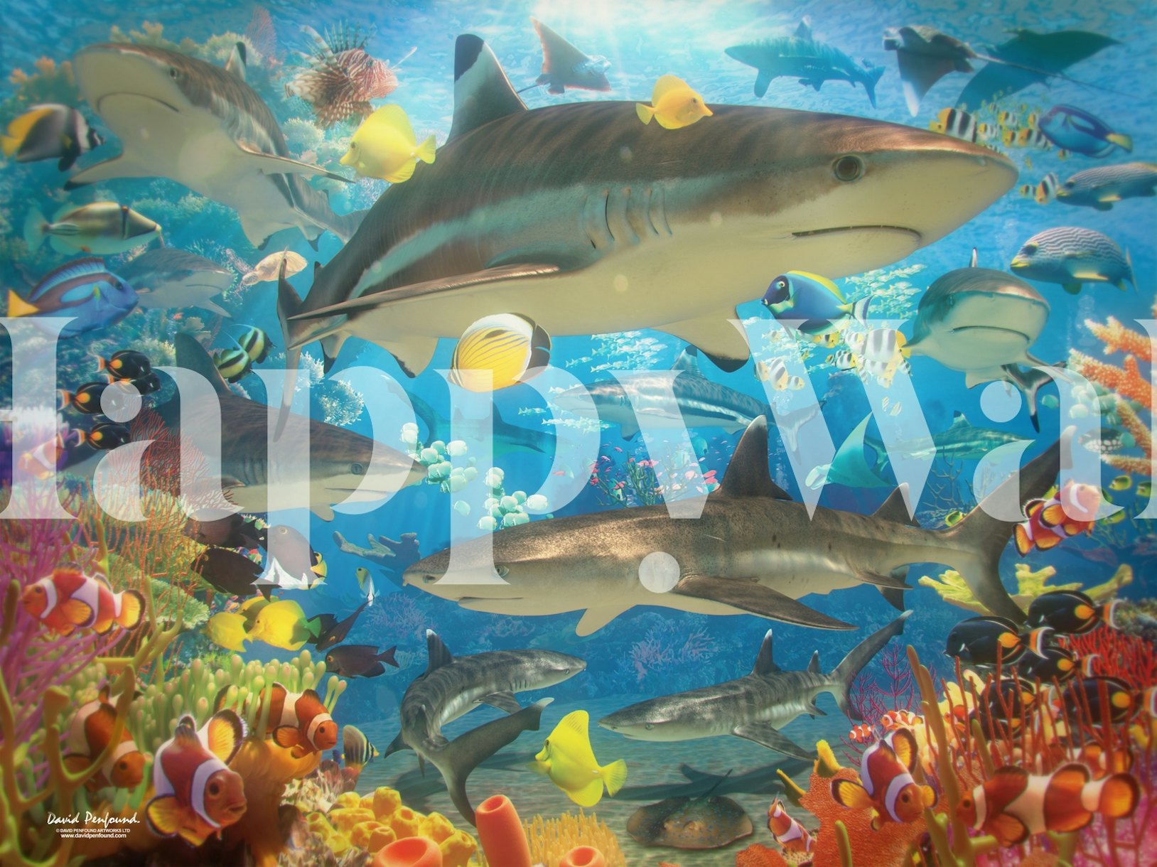Reef Sharks wallpaper - Happywall