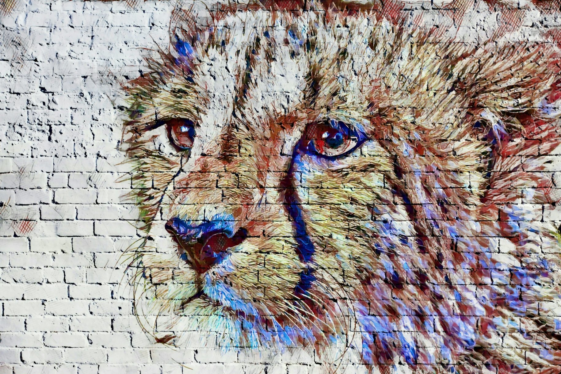 Gepard graffiti tapet | Happywall