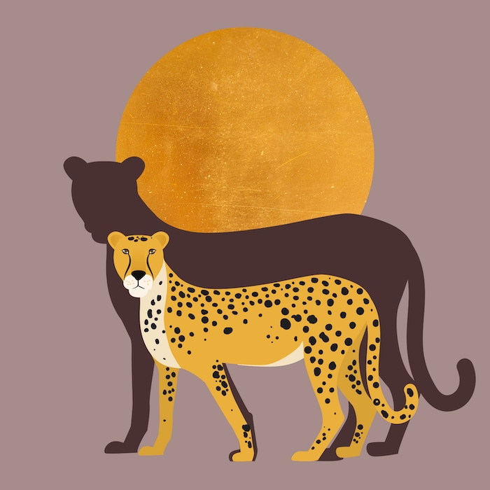 Golden Cheetah Sun Wallpaper for Kids Room