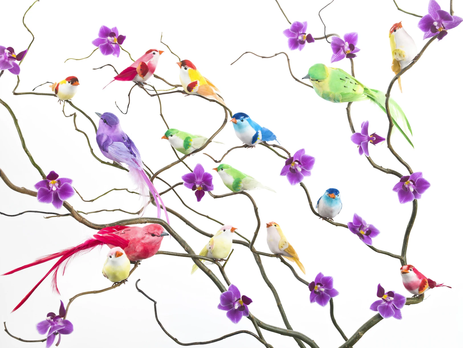 Fake Birds on Branches Wallpaper - Happywall