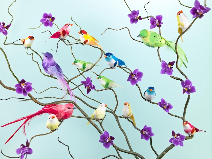 Buy Beautiful Fake Birds on Branches 3 Wallpaper | Happywall