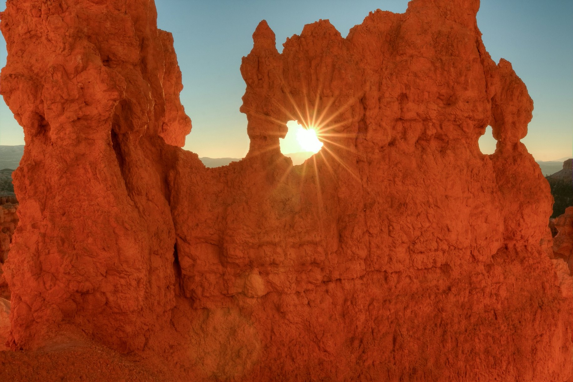 A Twinkle in His Eye Wallpaper - Buy Wallpapers Online | Happywall