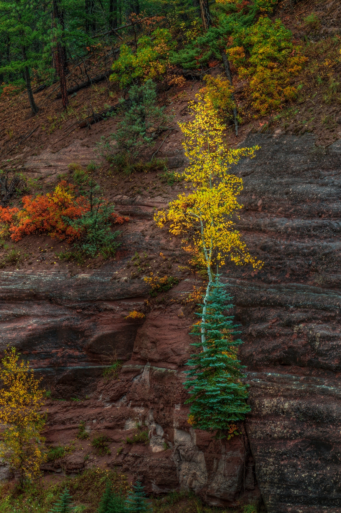 Buy Beautiful Tenacity Wallpaper - Happywall