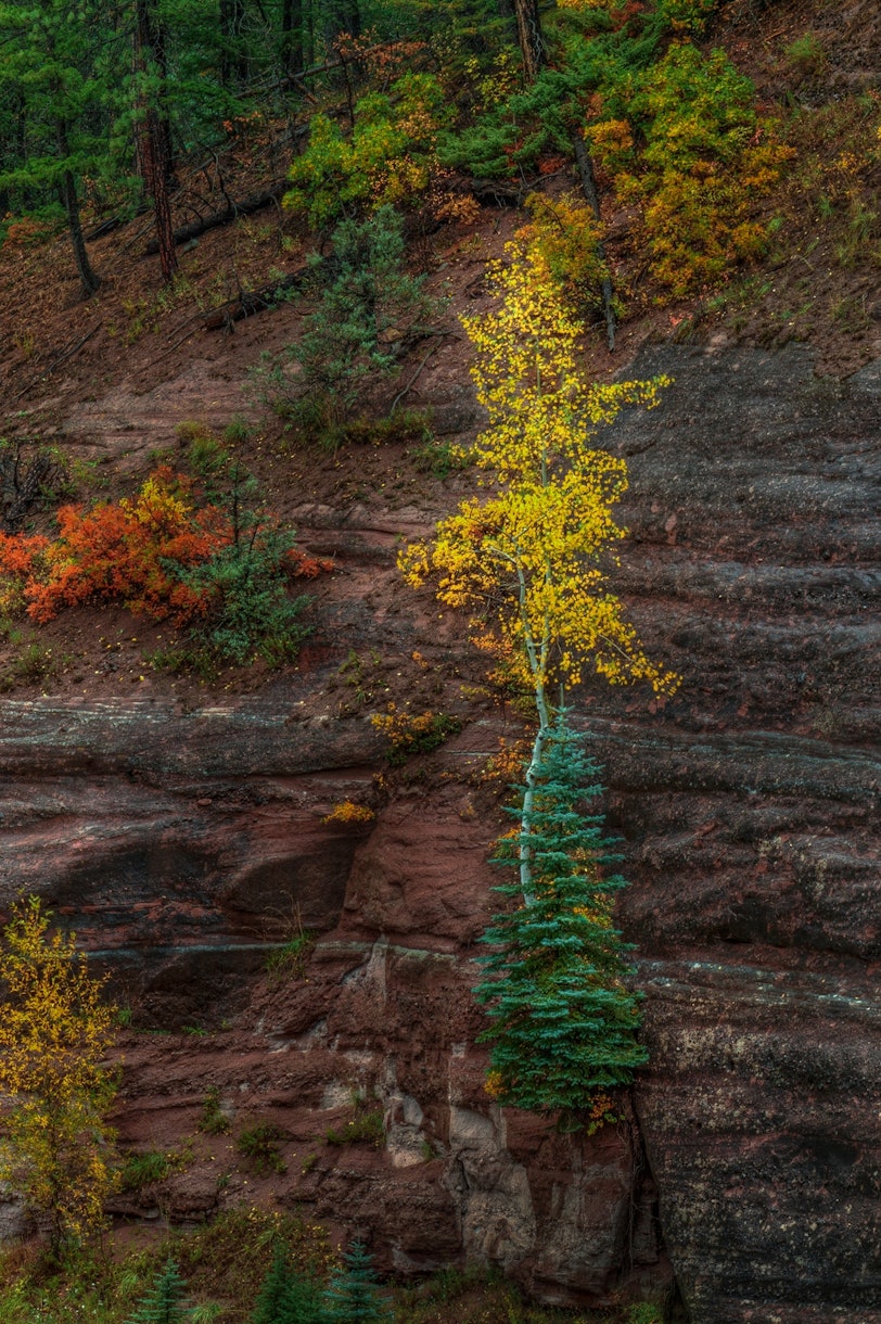 Buy Beautiful Tenacity Wallpaper - Happywall