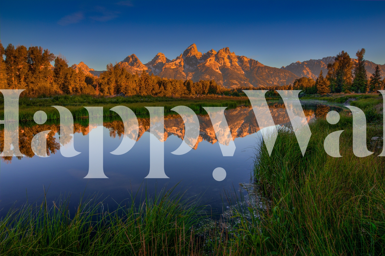 On Golden Pond Wallpaper - Buy Now on Happywall