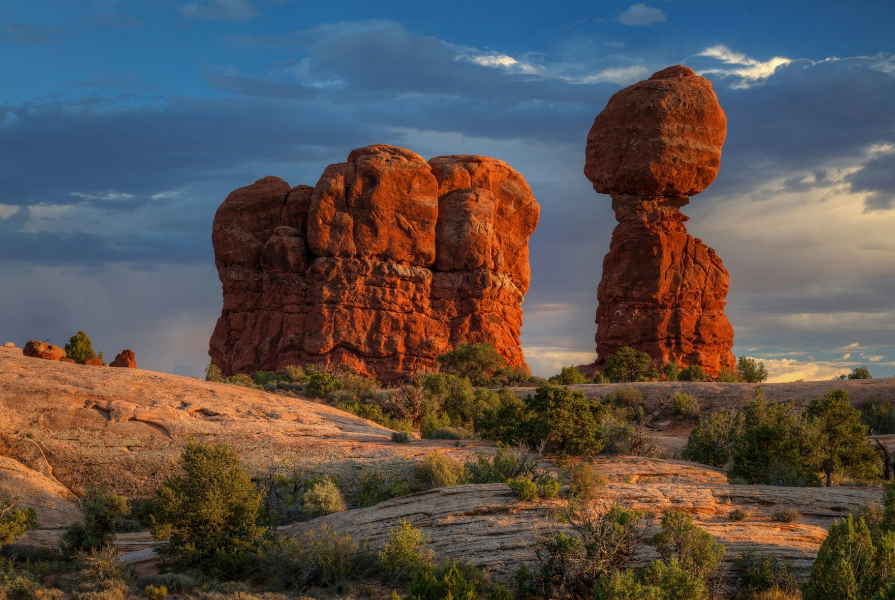 Standing Tall Wallpaper - Buy Online Today | Happywall