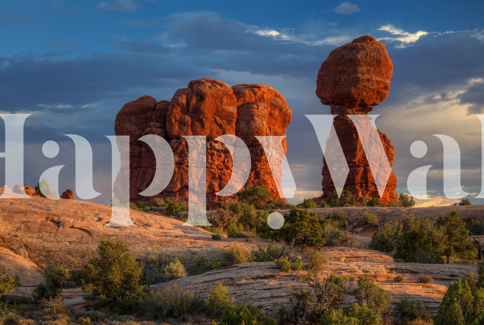 Standing Tall Wallpaper - happywall.com