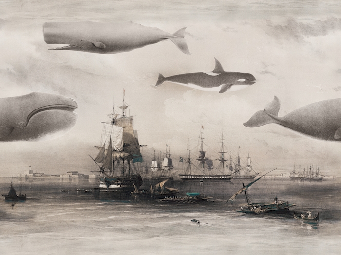 Nautical Whale and Ship Wallpaper
