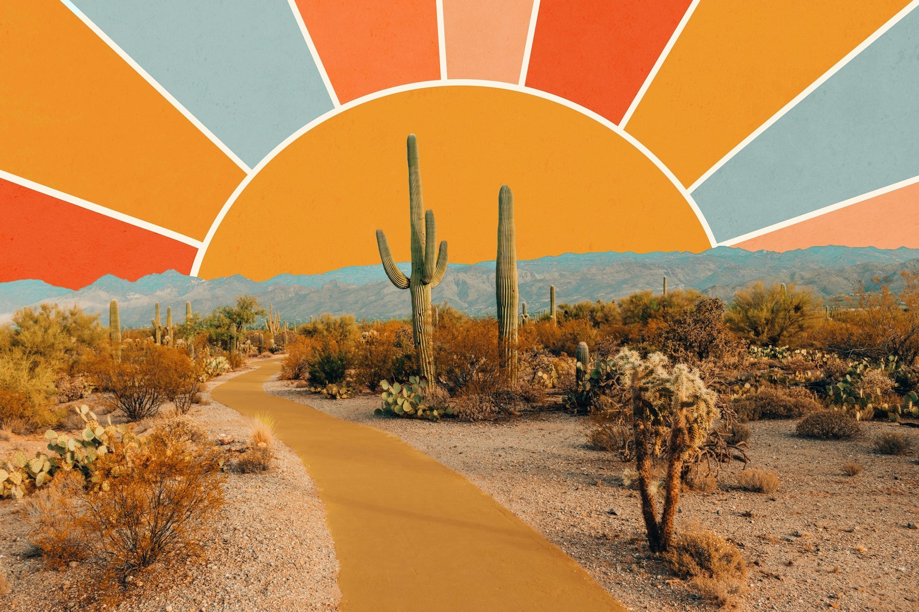 Desert Sun Wallpaper - Bring the Desert to Your Home | Happywall